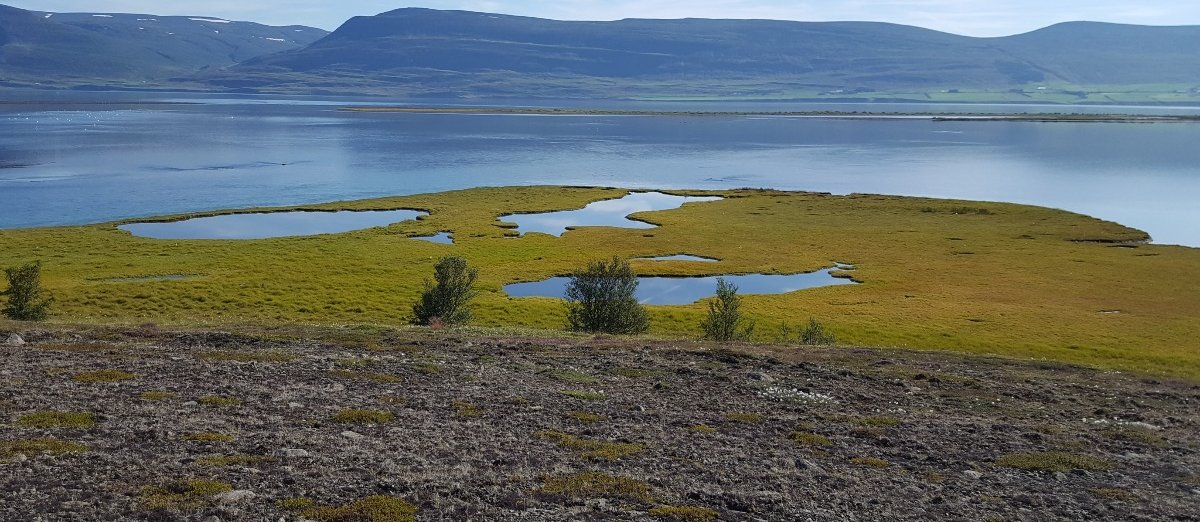 Gásir-Skipalón | Visit Akureyri