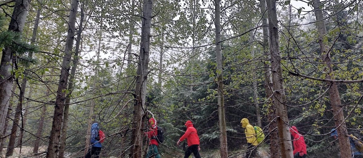 Hiking Week: Fálkafell - Gamli - Kjarni - Fálkafell | Visit Akureyri