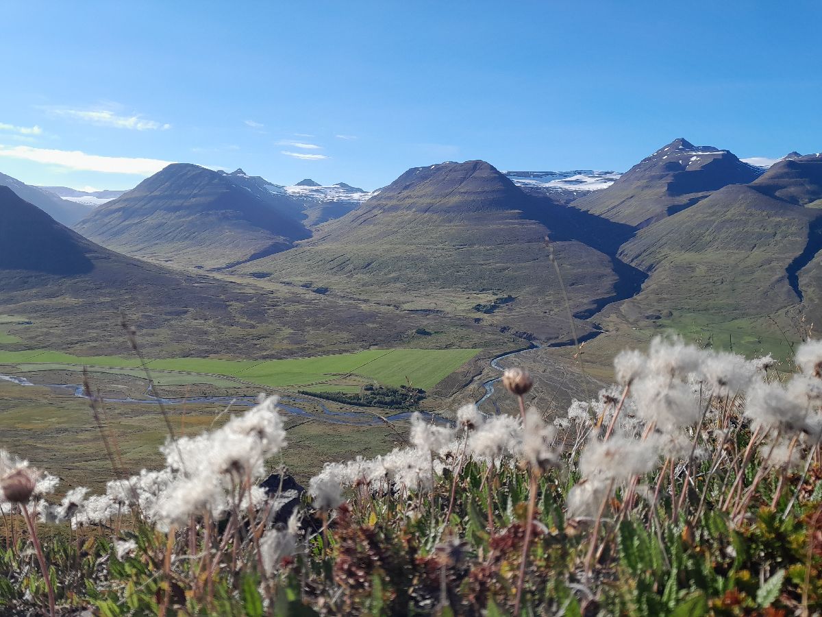 Walking and Hiking | Visit Akureyri