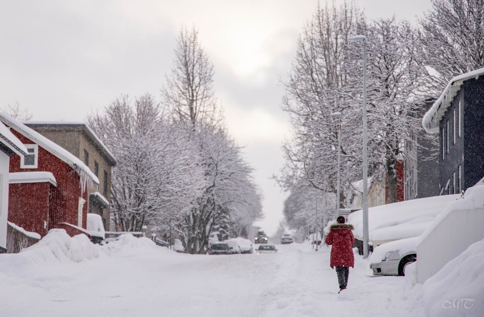 Snow flurry | Visit Akureyri